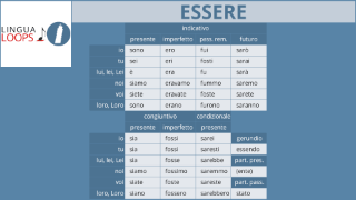 Lingua Loops Italian | Conjugation Songs