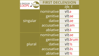 Lingua Loops Latin | Conjugation and Declension Songs