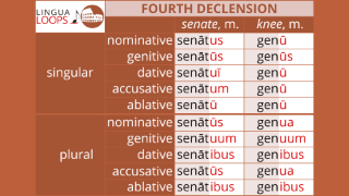Lingua Loops Latin | Conjugation and Declension Songs