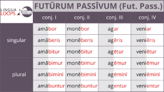 Lingua Loops Latin | Conjugation and Declension Songs