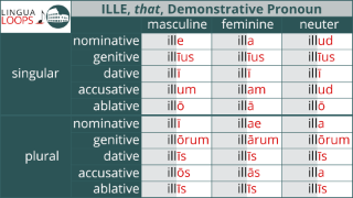 Lingua Loops Latin | Conjugation and Declension Songs