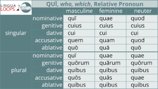 Lingua Loops Latin | Conjugation and Declension Songs