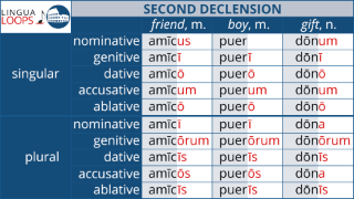 Lingua Loops Latin | Conjugation and Declension Songs