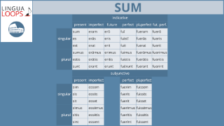 Lingua Loops Latin | Conjugation and Declension Songs
