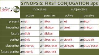 Lingua Loops Latin | Conjugation and Declension Songs