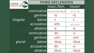 Lingua Loops Latin | Conjugation and Declension Songs