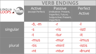 Lingua Loops Latin | Conjugation and Declension Songs