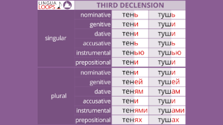 Lingua Loops Russian | Conjugation and Declension Songs
